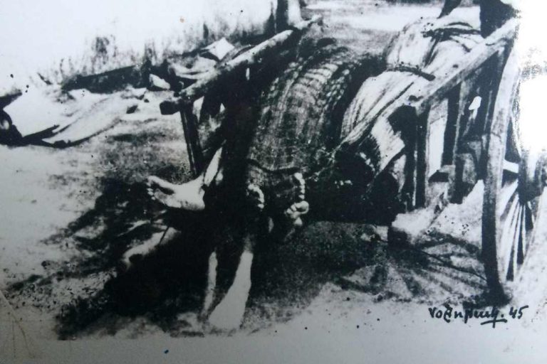 Nạn đói 1945 - Hậu quả chiến tranh để lại ở Việt Nam